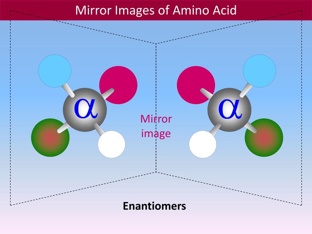 PPT - Amino acid and Protein Chemistry PowerPoint Presentation, free ...