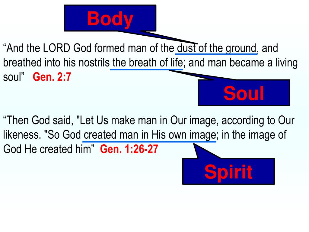 PPT - Body, Soul, and Spirit PowerPoint Presentation, free download ...