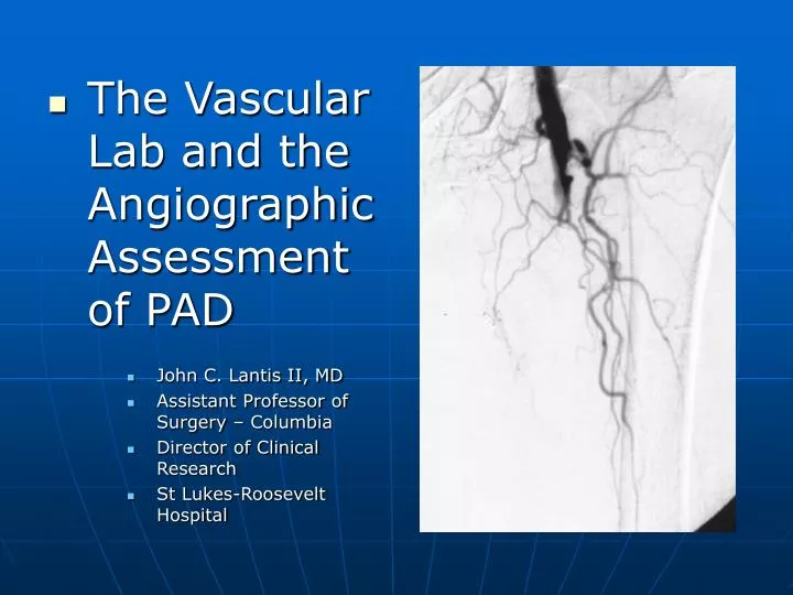 PPT - The Vascular Lab and the Angiographic Assessment of PAD John C ...