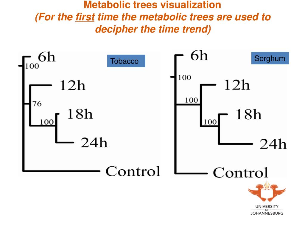 PPT - Ntakadzeni Edwin Madala Supervisor: Prof IA Dubery Co-supervisor ...
