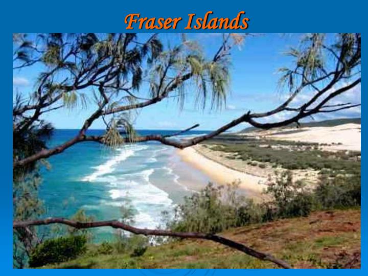 PPT - Fraser Island PowerPoint Presentation - ID:2747244