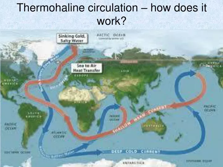 PPT - Thermohaline circulation – how does it work? PowerPoint ...