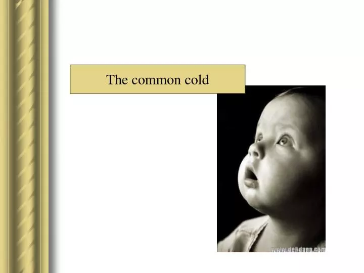 PPT - The common cold PowerPoint Presentation, free download - ID:2748105