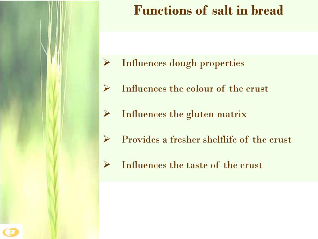 PPT - Enhancing Bread Flavours: A Guide to Smell and Taste Interactions ...