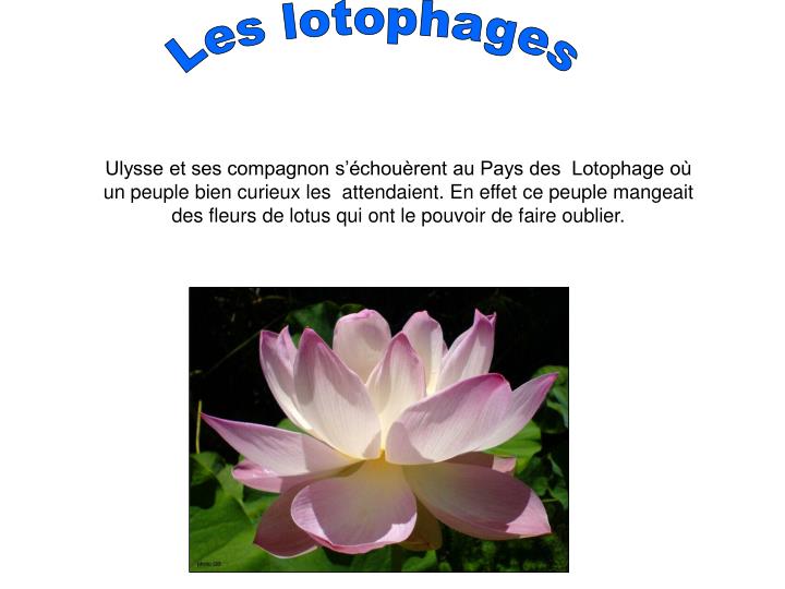 PPT - Exposé sur Ulysse PowerPoint Presentation - ID:2748542