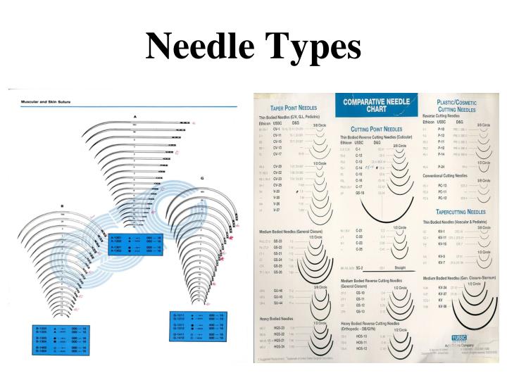 PPT - Wound Healing Suture & Needles PowerPoint Presentation - ID:2748902