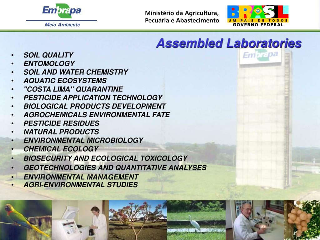 PPT - EMBRAPA Brazilian Agricultural Research Corporation PowerPoint ...