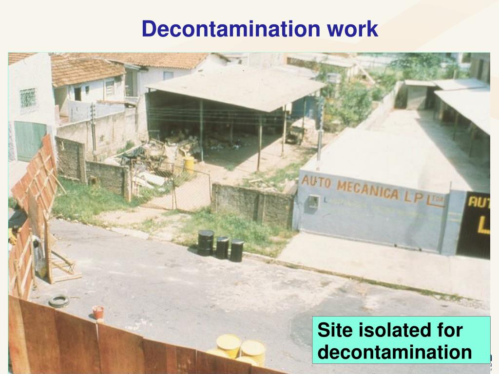 PPT - Ivan P. Salati de Almeida Director of Radiation Protection and ...