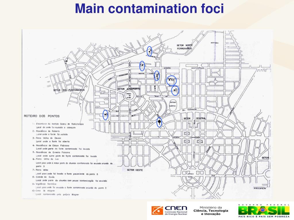 PPT - Ivan P. Salati de Almeida Director of Radiation Protection and ...