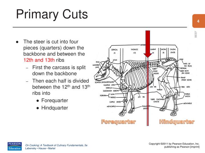 PPT - After studying this unit PowerPoint Presentation - ID:2749357