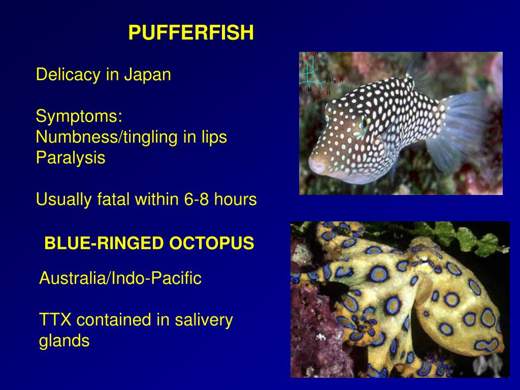 PPT - NATURAL PRODUCTS PLANT & ANIMAL TOXINS PowerPoint Presentation ...