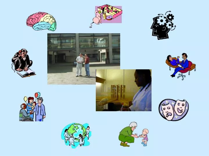 PPT - Spatial Memory & Navigation PowerPoint Presentation, free ...