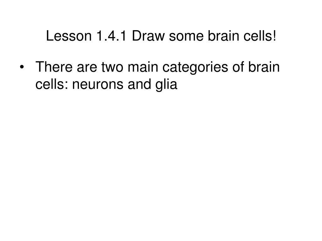 PPT - Neuroanatomy and Neurochemistry Lesson Plan for Brain Cap ...
