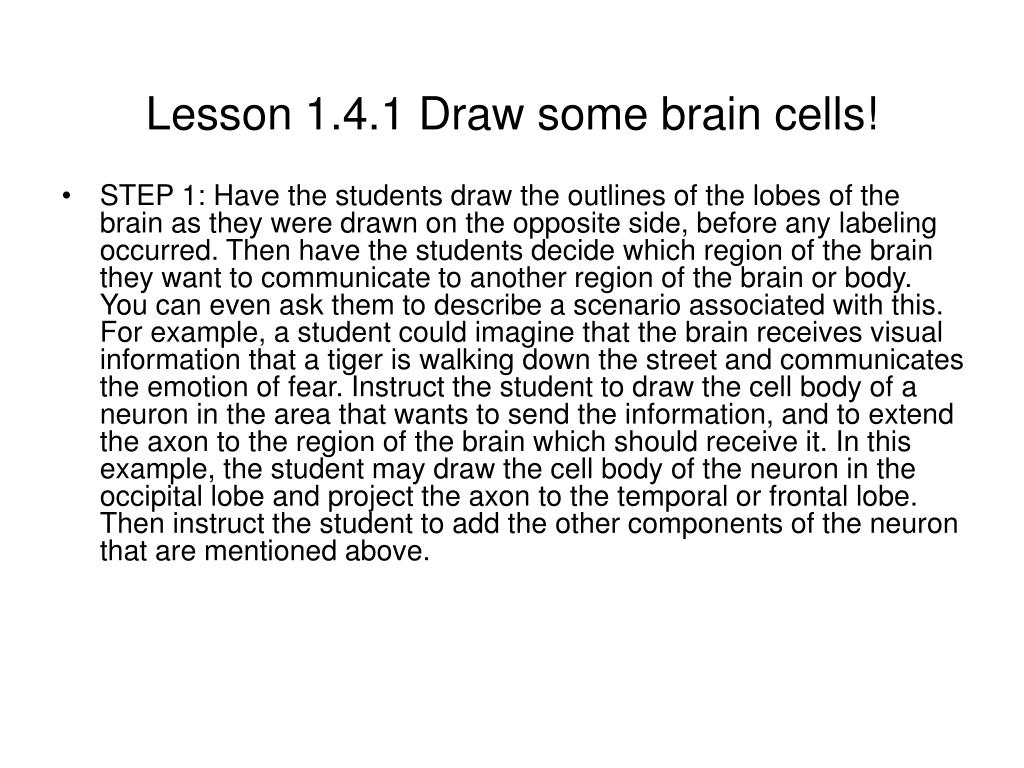 PPT - Neuroanatomy and Neurochemistry Lesson Plan for Brain Cap ...