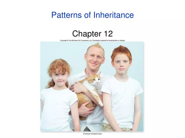 PPT - Patterns of Inheritance PowerPoint Presentation, free download ...