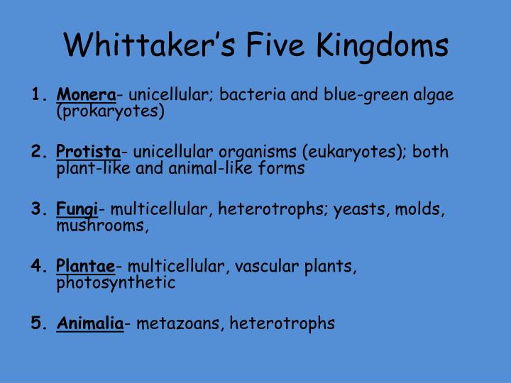 PPT - Diversity and Classification PowerPoint Presentation - ID:2751129