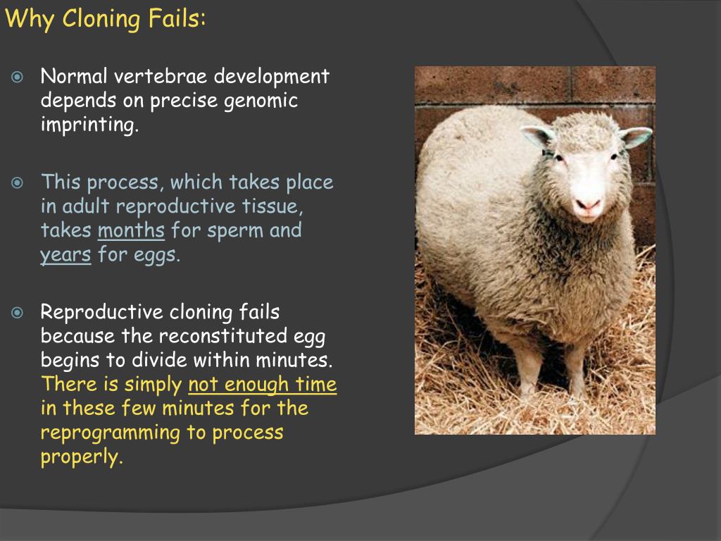 PPT - Biology 11.3 Genetic Engineering in Agriculture PowerPoint ...