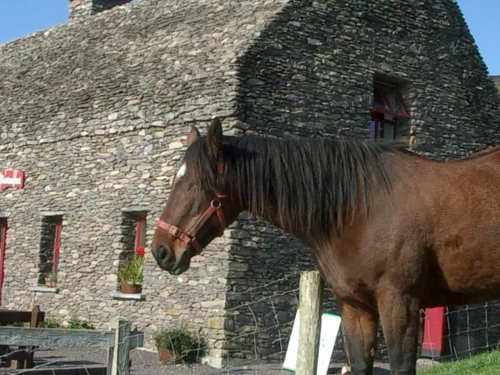 PPT - Collaborative Software Use at CU-Boulder Dennis Maloney, CU ...