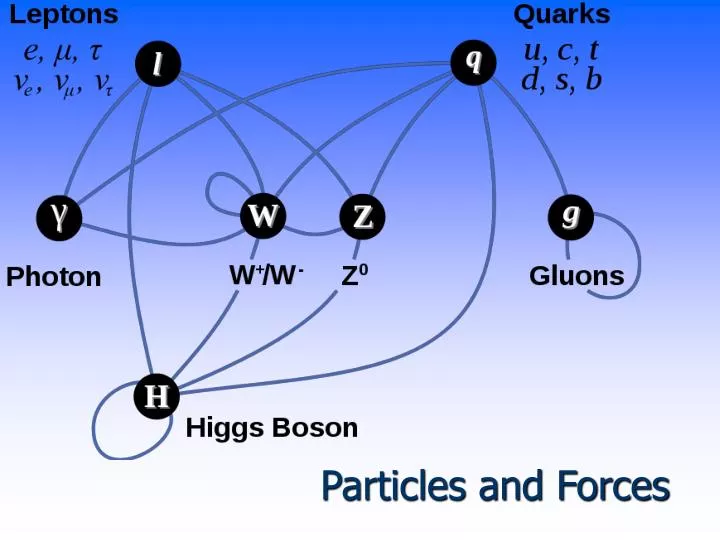 PPT - Particles and Forces PowerPoint Presentation, free download - ID ...