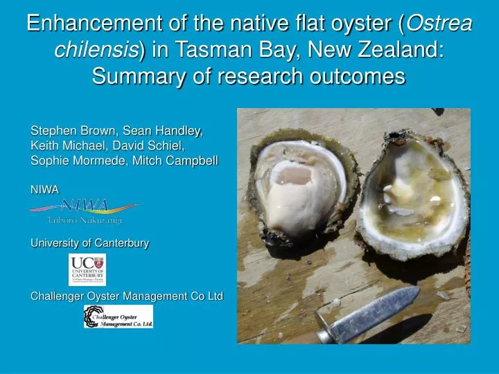 PPT - Stephen Brown, Sean Handley, Keith Michael, David Schiel, Sophie ...