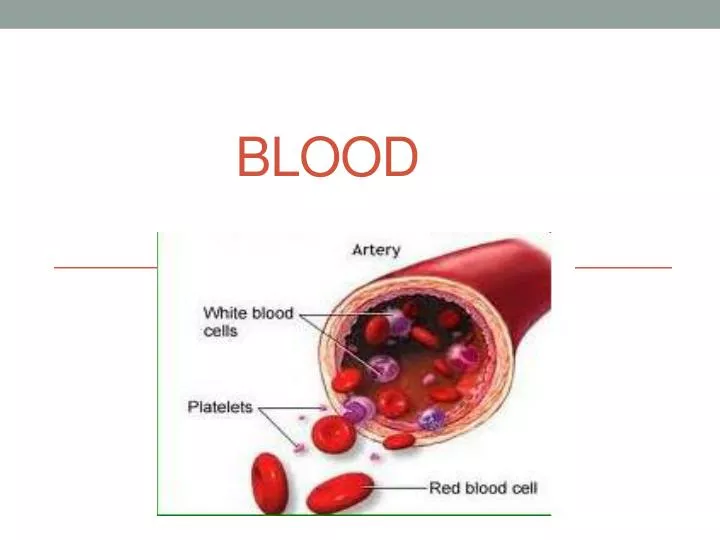 PPT - BLOOD PowerPoint Presentation, free download - ID:2753685