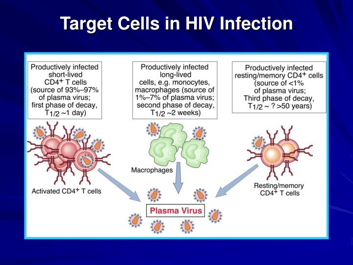 PPT - HIV Pathogenesis PowerPoint Presentation - ID:2753732