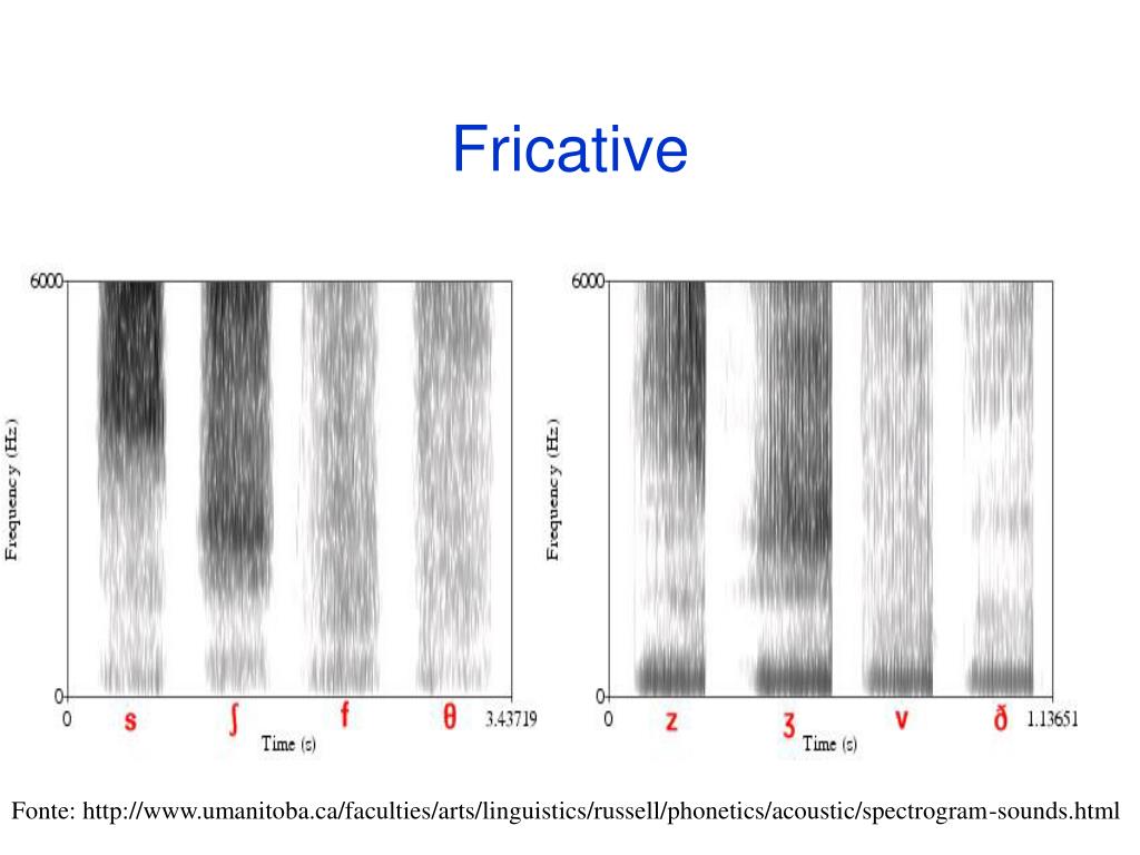 PPT - Formanti vocaliche e luogo di articolazione delle occlusive ...