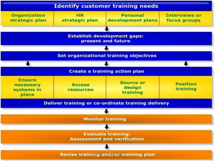 PPT - Training: Concept and Strategy PowerPoint Presentation - ID:2754223