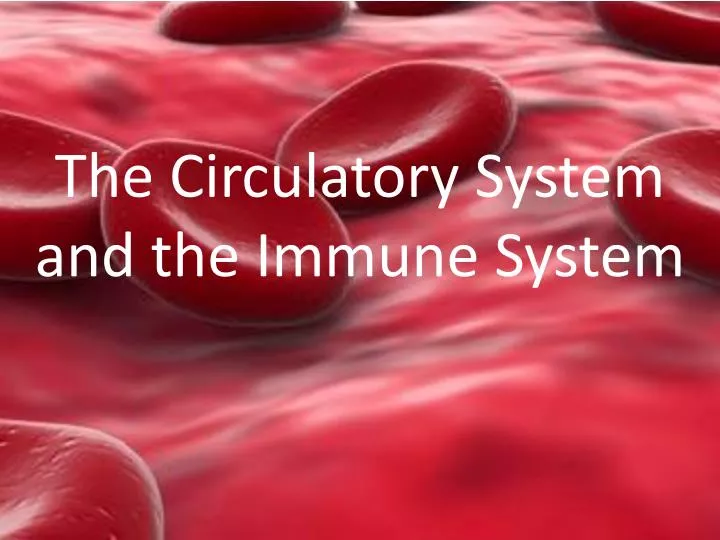 PPT - The Circulatory System and the Immune System PowerPoint ...