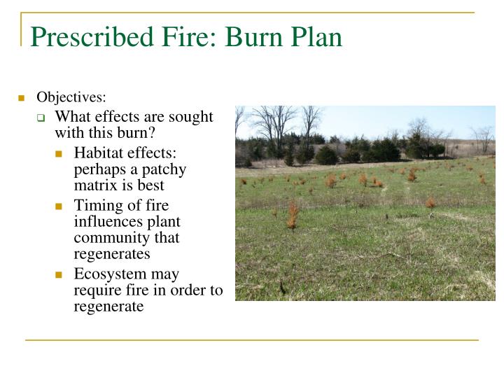 PPT - Prescribed Fire: A Tool For Ecosystem Management PowerPoint ...