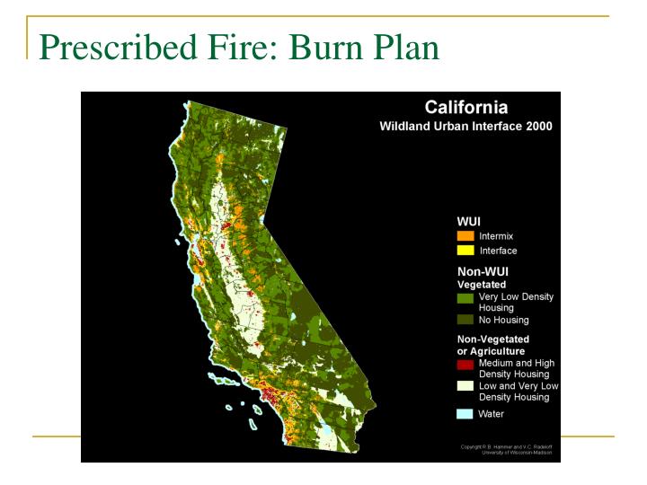PPT - Prescribed Fire: A Tool For Ecosystem Management PowerPoint ...