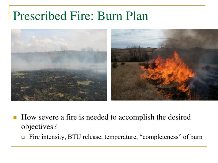 PPT - Prescribed Fire: A Tool For Ecosystem Management PowerPoint ...