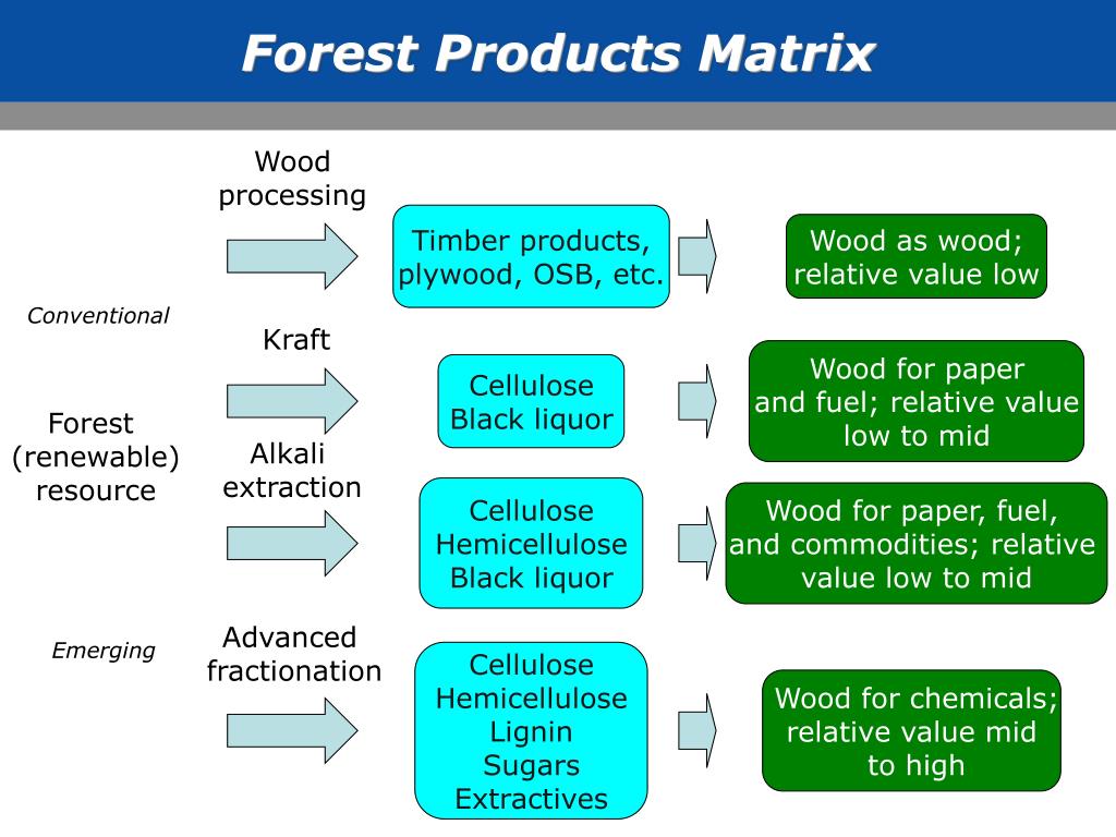 PPT - Biobased Nanostructural Materials: New Opportunities for the ...