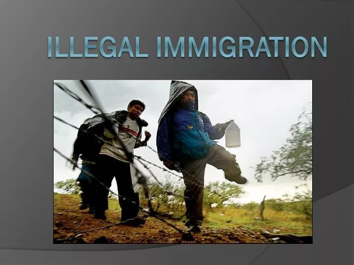 PPT - Illegal Immigration PowerPoint Presentation, free download - ID ...