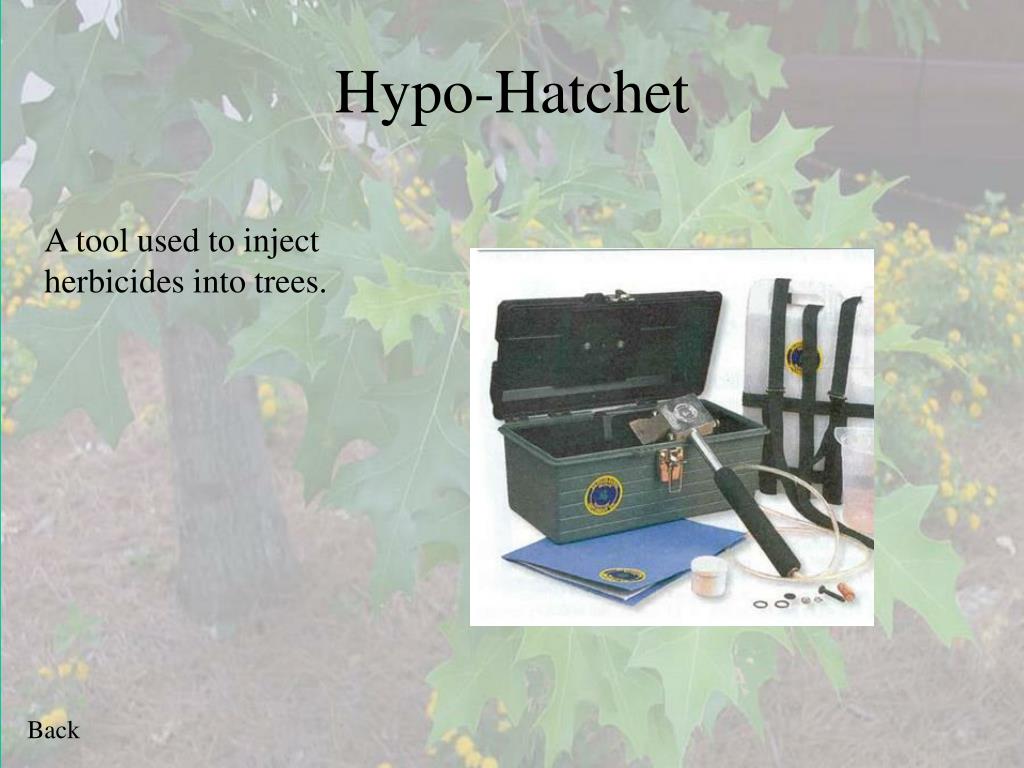 PPT - Forestry Equipment Identification for the National Forestry CDE ...