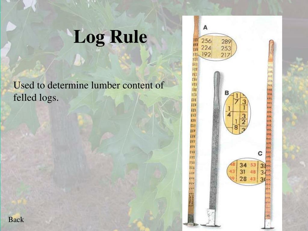 PPT - Forestry Equipment Identification for the National Forestry CDE ...