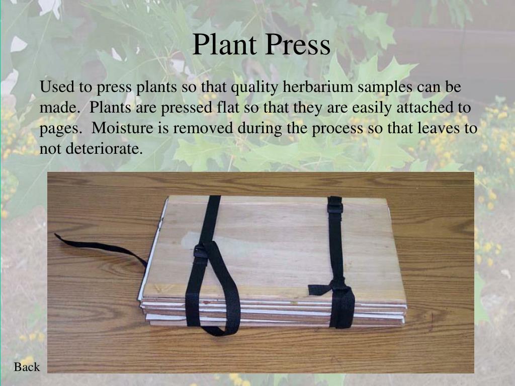 PPT - Forestry Equipment Identification for the National Forestry CDE ...