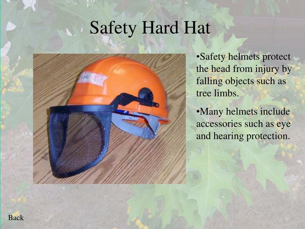 PPT - Forestry Equipment Identification for the National Forestry CDE ...