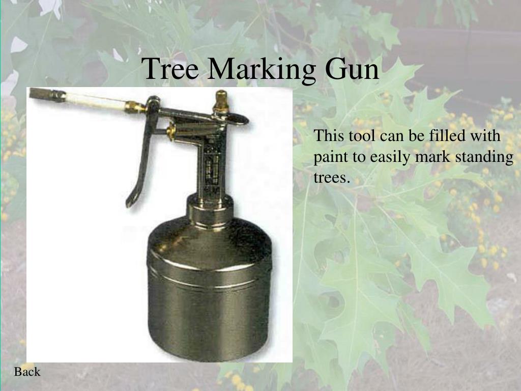 PPT - Forestry Equipment Identification for the National Forestry CDE ...
