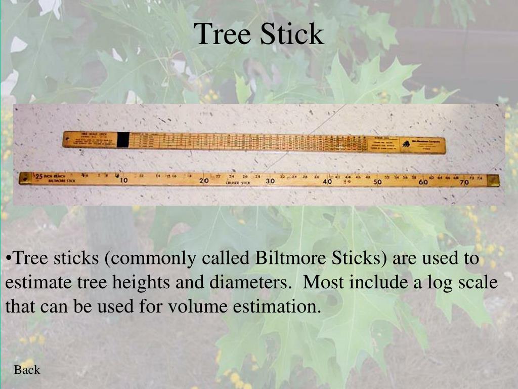 PPT - Forestry Equipment Identification for the National Forestry CDE ...