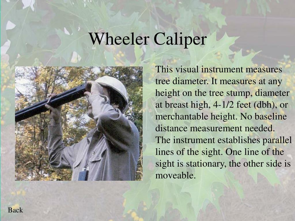 PPT - Forestry Equipment Identification for the National Forestry CDE ...