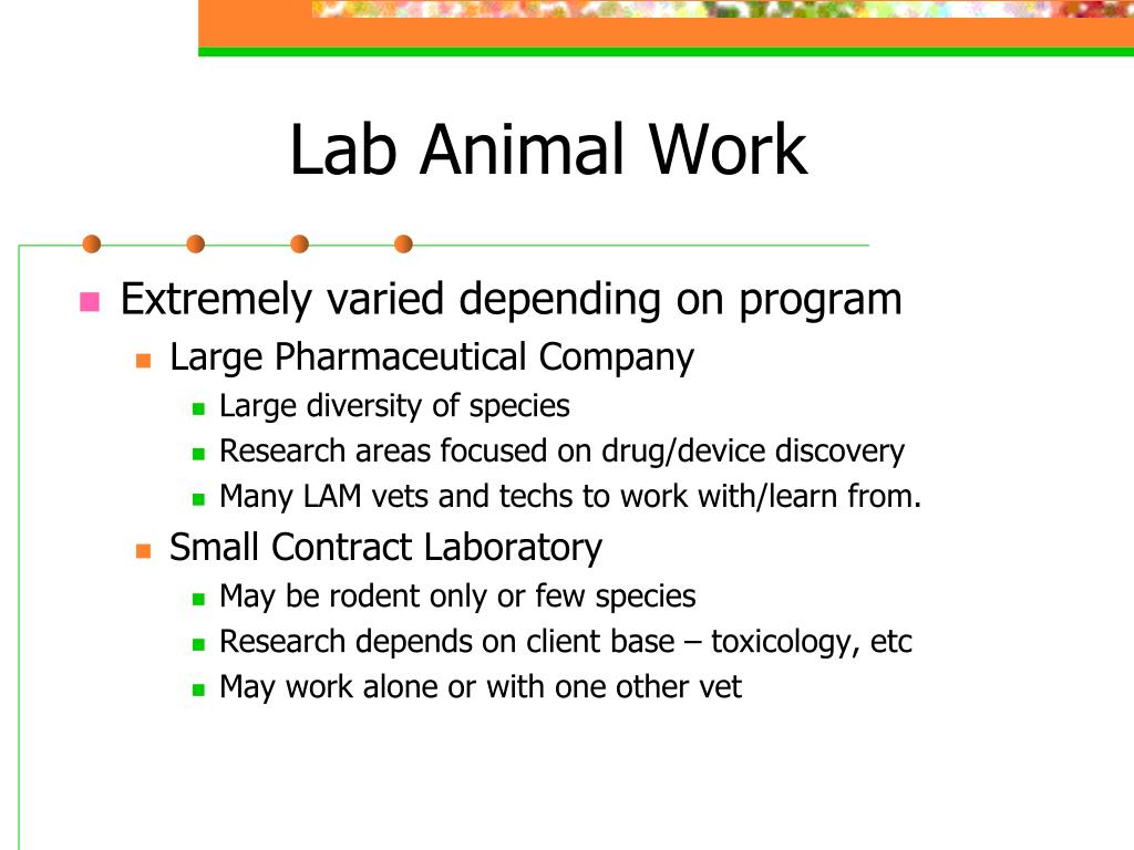 PPT - A Challenging Career: Laboratory Animal Medicine PowerPoint ...