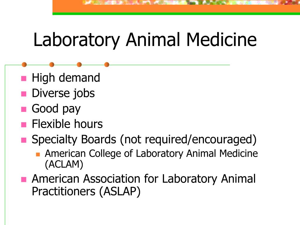 PPT - A Challenging Career: Laboratory Animal Medicine PowerPoint ...