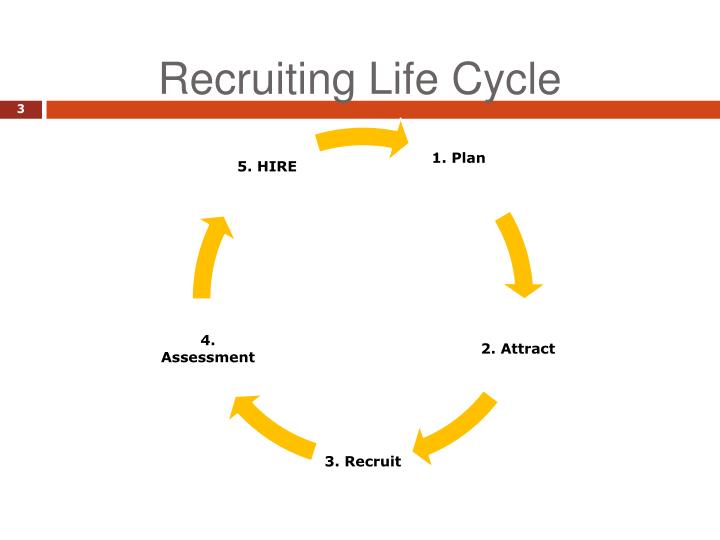 PPT - The Recruiter’s Role In The Selection Process PowerPoint ...