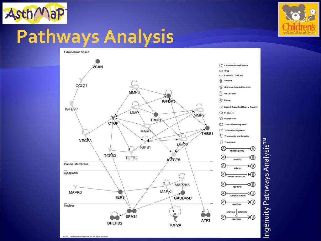 PPT - Angela S Benton, BAS 1 , Alan M Watson, PhD 1,2 , Zuyi Wang, PhD ...