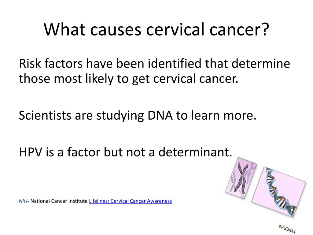 PPT - Cervical Cancer and HPV Awareness PowerPoint Presentation, free ...