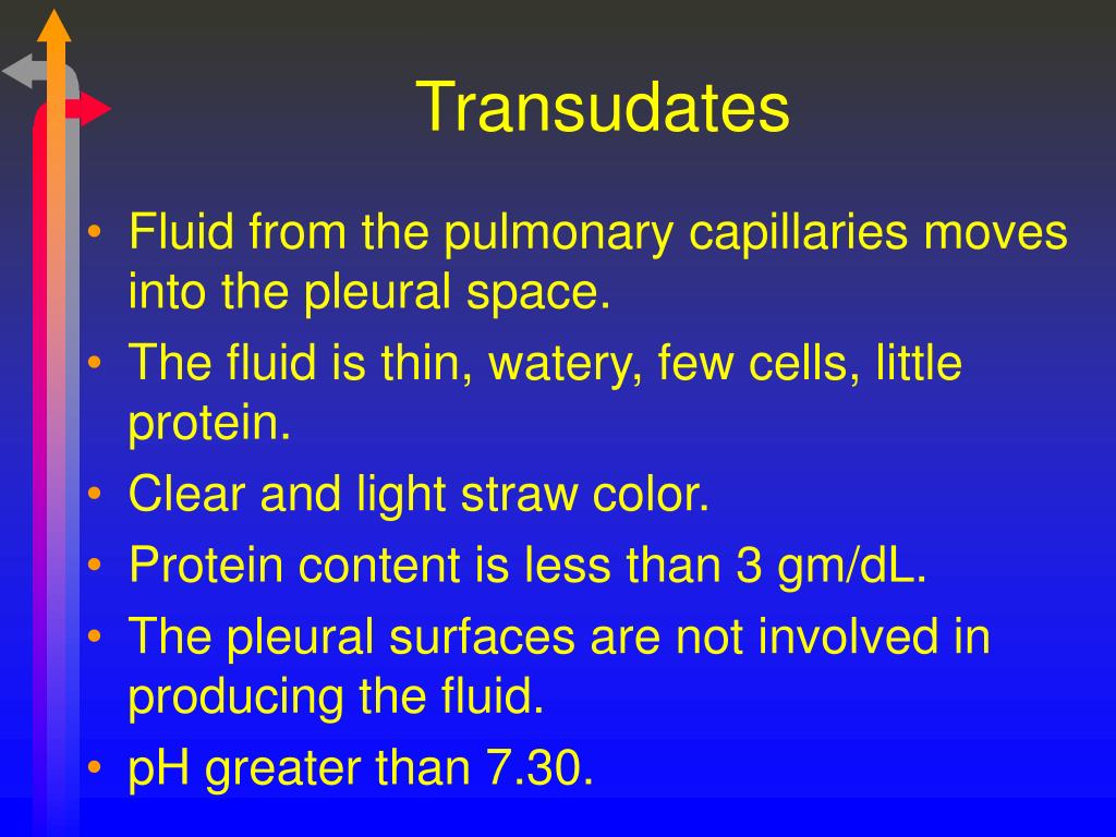 PPT - Pleural Diseases Kyphoscoliosis PowerPoint Presentation, free ...