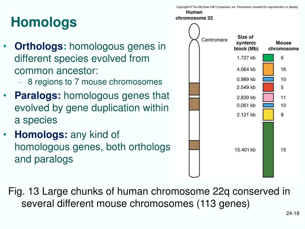 PPT - Chapter 24 topics: Genomics, Proteomics, Bioinformatics ... PPT - Chapter 24 topics: Genomics, Proteomics, Bioinformatics ...