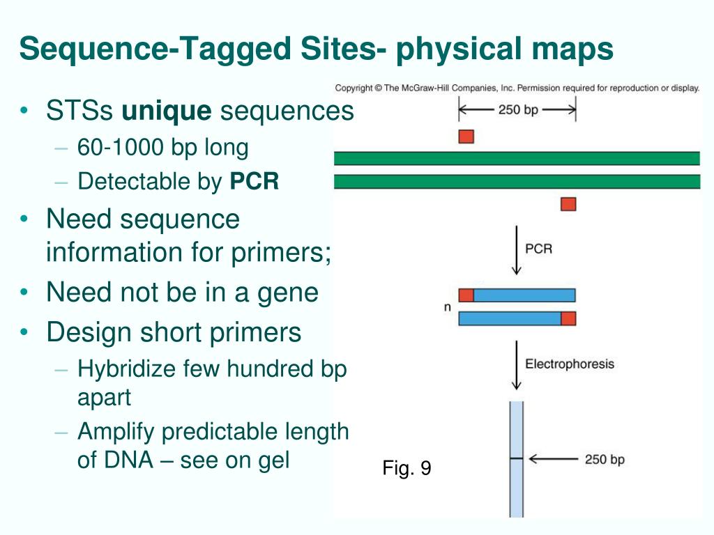 PPT - Chapter 24 topics: Genomics, Proteomics, Bioinformatics ... PPT - Chapter 24 topics: Genomics, Proteomics, Bioinformatics ...