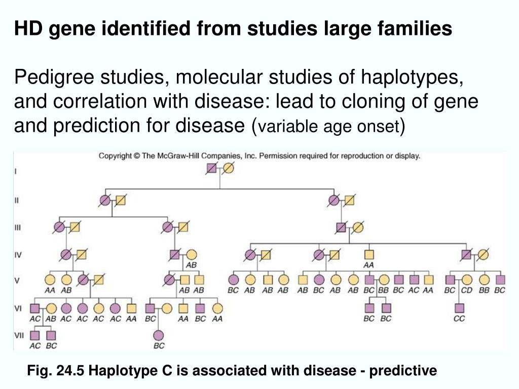 PPT - Chapter 24 topics: Genomics, Proteomics, Bioinformatics ... PPT - Chapter 24 topics: Genomics, Proteomics, Bioinformatics ...